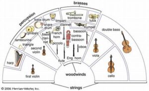 Music Instrument Vital To The Evolution Of Symphonic Movements - MW ...